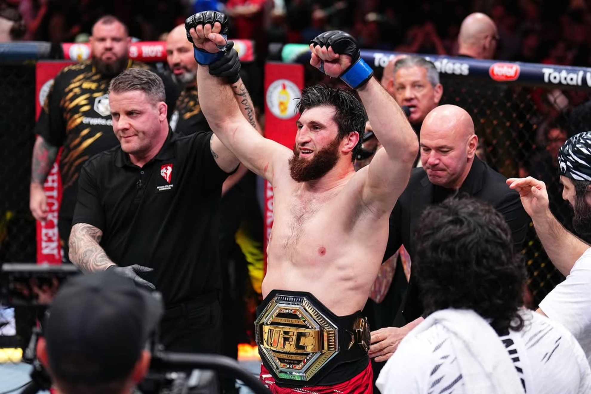 Rankings UFC | Ground Pound Mo